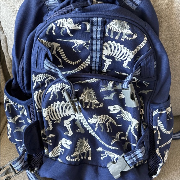 Pottery Barn Kids | Accessories | Pottery Barn Kids Dinosaur Fossil ...